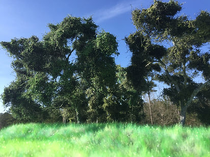 Hero Trees | ScaleTree.com