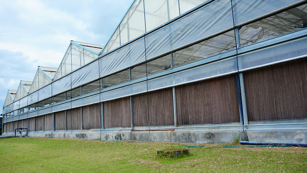 Farmer's Guide to Humidity in Agriculture