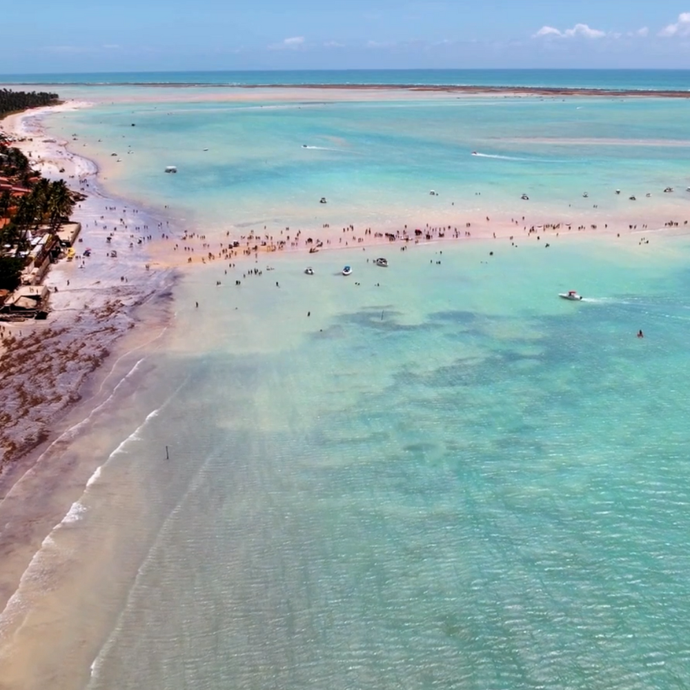 Descubra o que fazer no caribe brasileiro: Maragogi