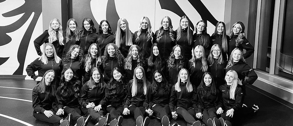 High School Sports Team | Viewettes Dance Team | United States