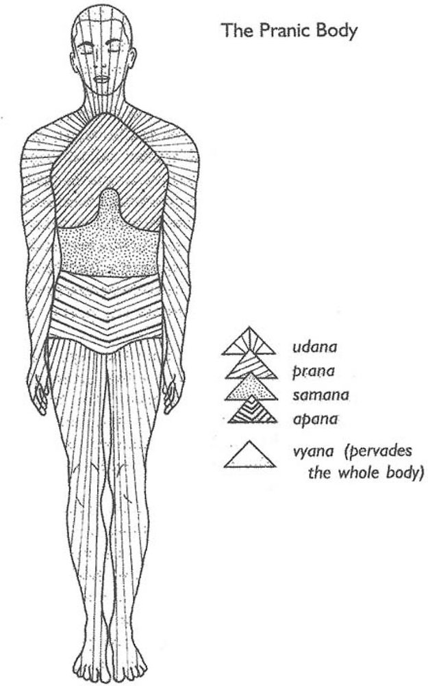Pancha prana