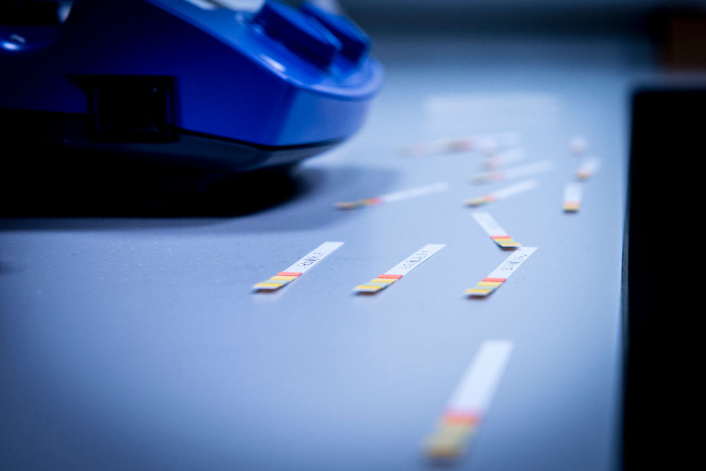 Polymateria tackles global plastic pollution with new ...