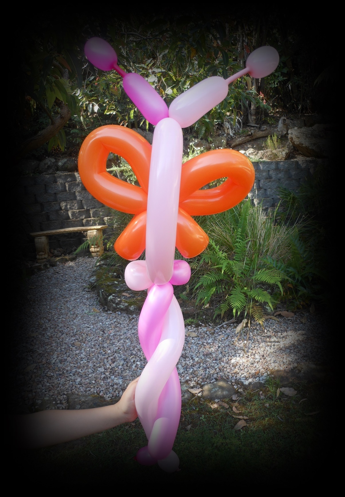 Balloon Twisting | Wild Whimsy Art | Sunshine Coast