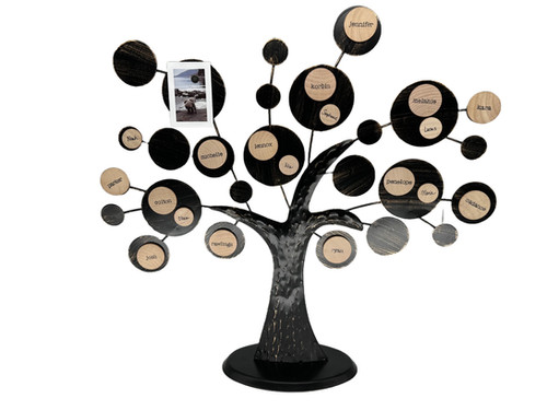 Magnetic Photo Display Family Tree | FamilyTreeTraditions