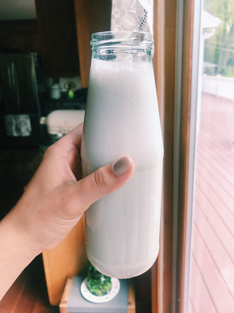 PLANT MILKS- all you need to know