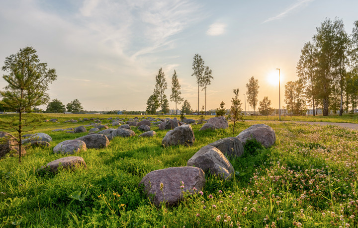 Kukerpuu Kodud | Kukerpuu