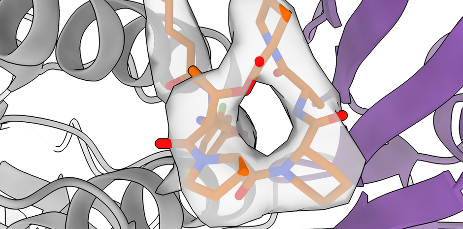 Home [www.ripsteinlab.org]