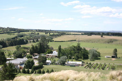 About | eling-forest-winery