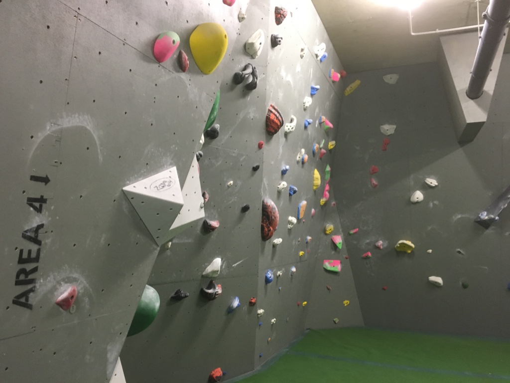 The Arch Climbing wall