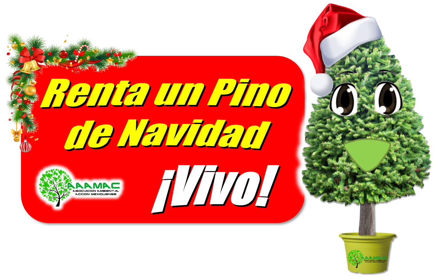 Navidad Responsable | Renta un árbol de navidad | Ciudad López Mateos