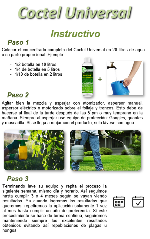 Navidad Responsable | Renta un árbol de navidad | Ciudad López Mateos