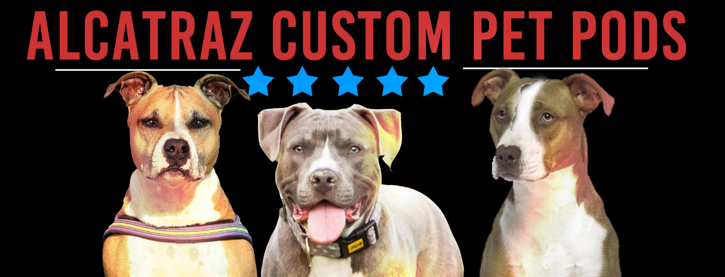 Custom Dog Kennels | Alcatrazcustompetpods | United States