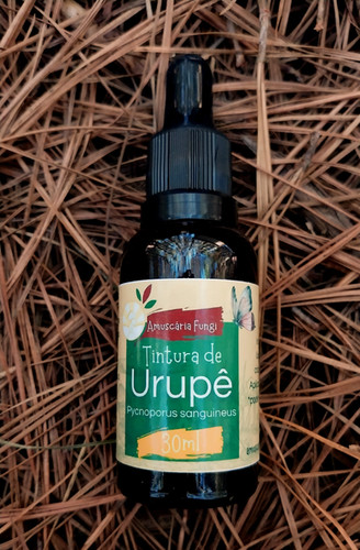 Tintura de Urupê | amuscariafungi
