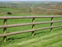 Round Post & Rail | Blamphayne Sawmills Ltd | Honiton