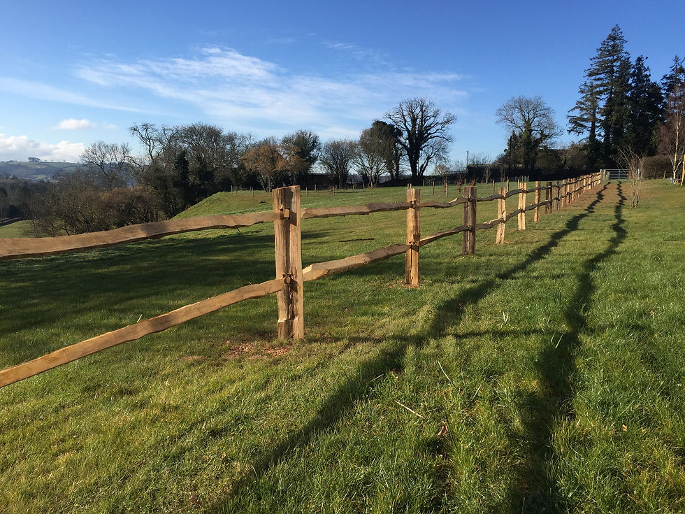 Timber fencing supplies | Honiton | Blamphayne Sawmills Ltd