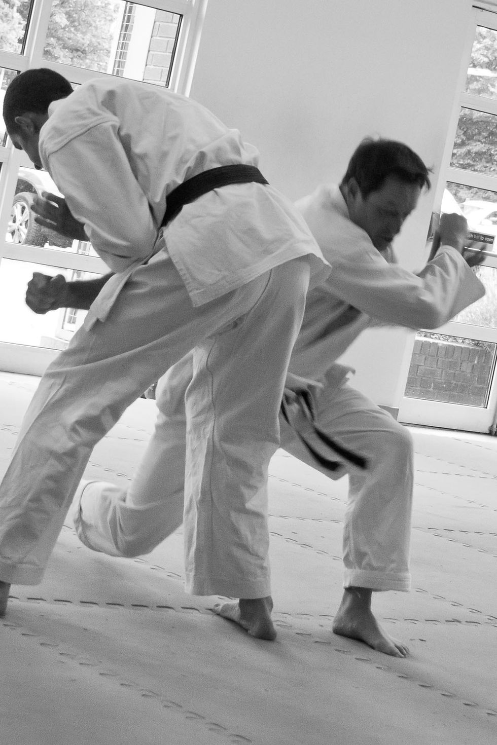 Home | Shuho Jujitsu
