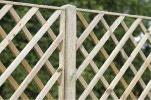 Deluxe Diamond Trellis Fence Panel | Blamphayne Sawmills Ltd | Honiton