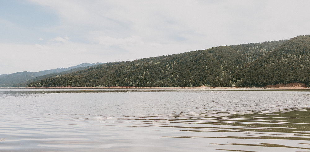 7 Family Friendly Hikes to Do in the Swan Valley area