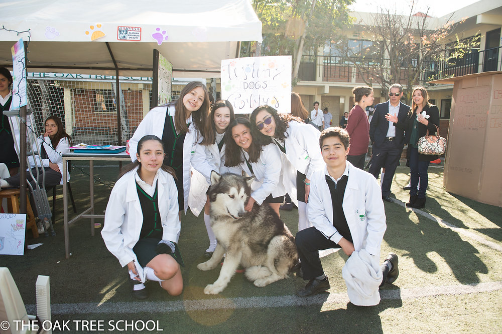 The Importance of Scientific Knowledge and Active Learning in Middle School: The Oak Tree School ...