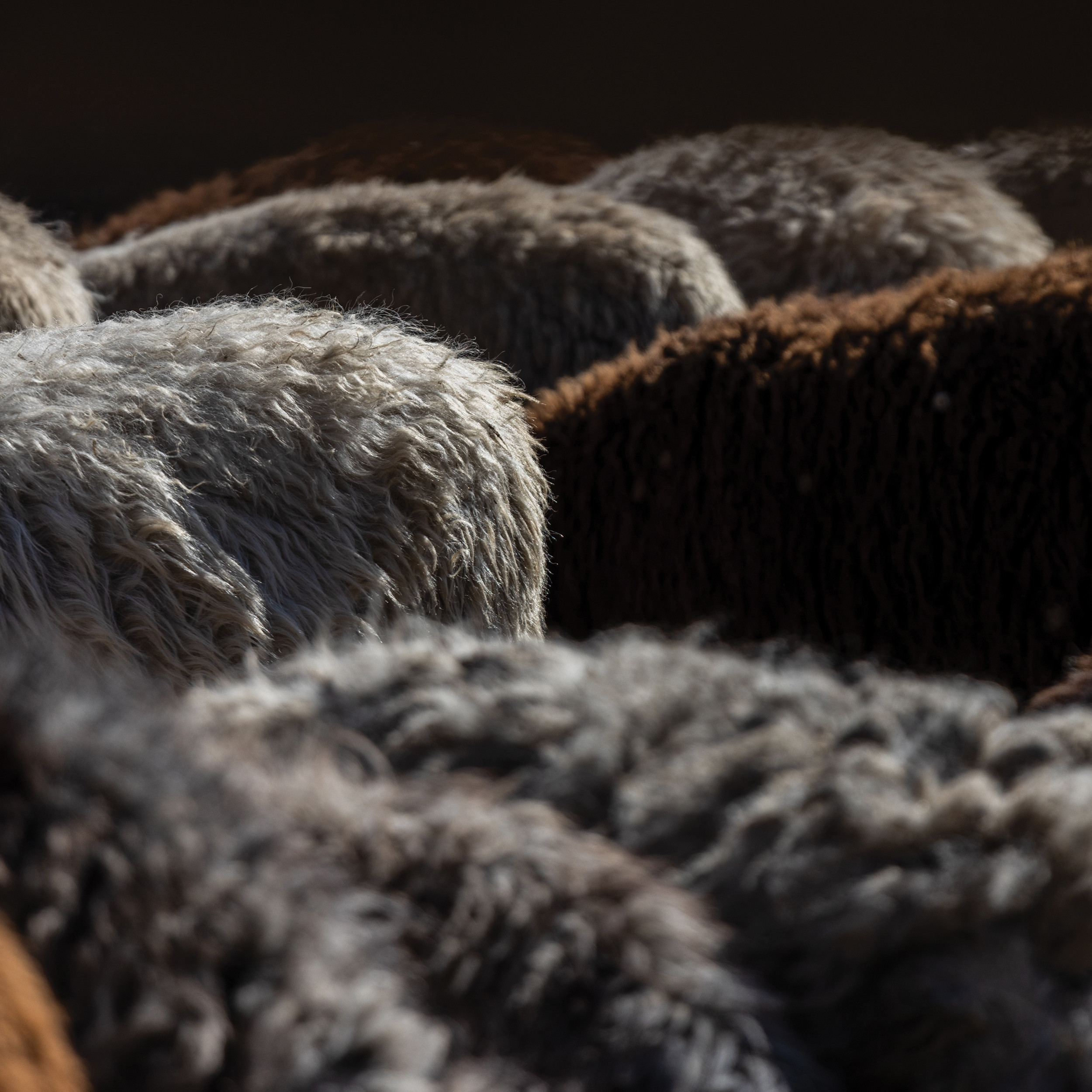 WoW Futon Organic Mattress Topper | Japanese Futon Mattress