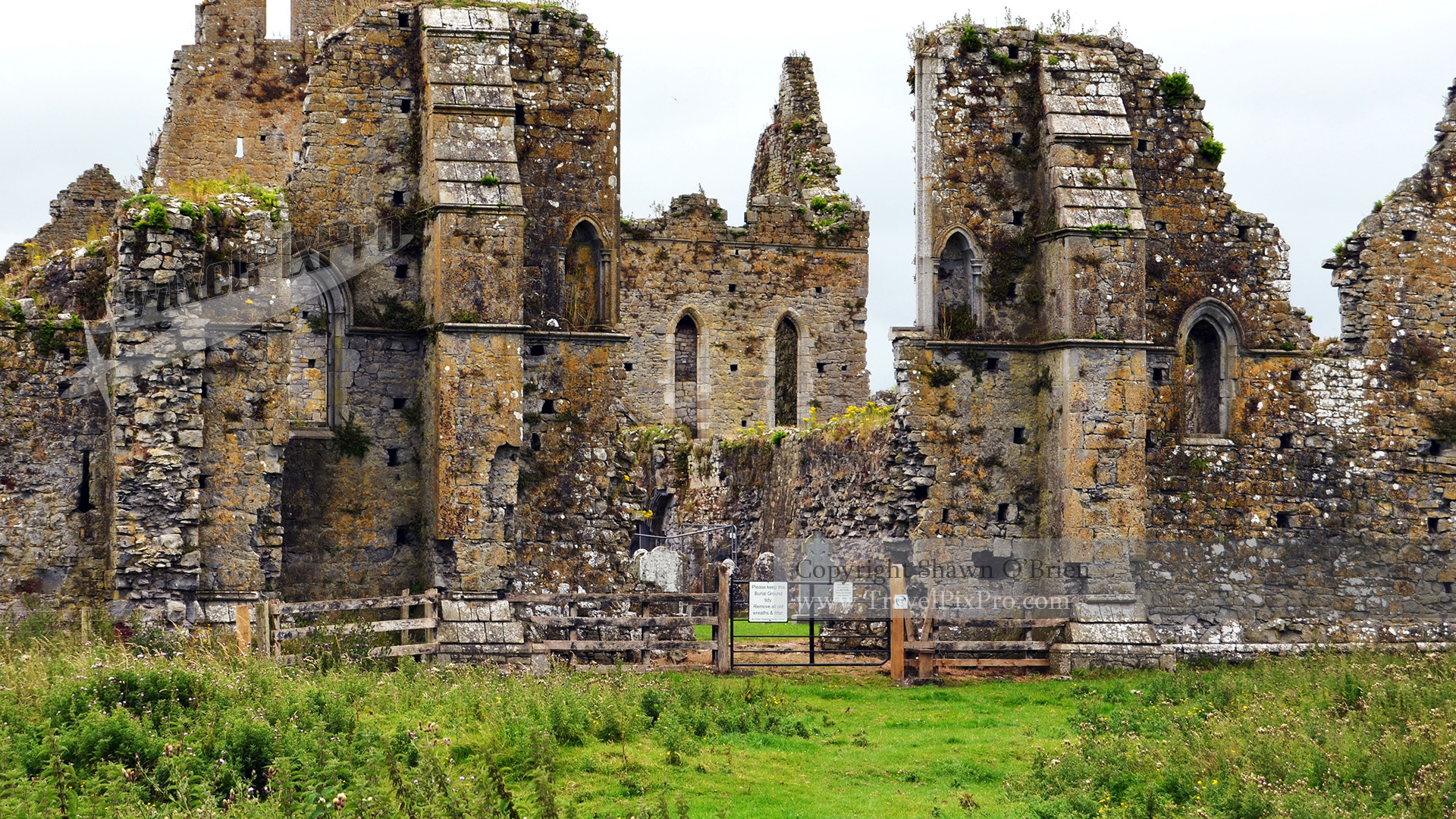 TravelPixPro | Irish Abbeys and Priories
