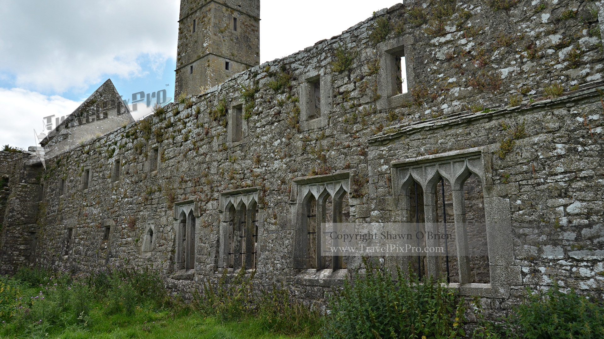 TravelPixPro | Irish Abbeys and Priories