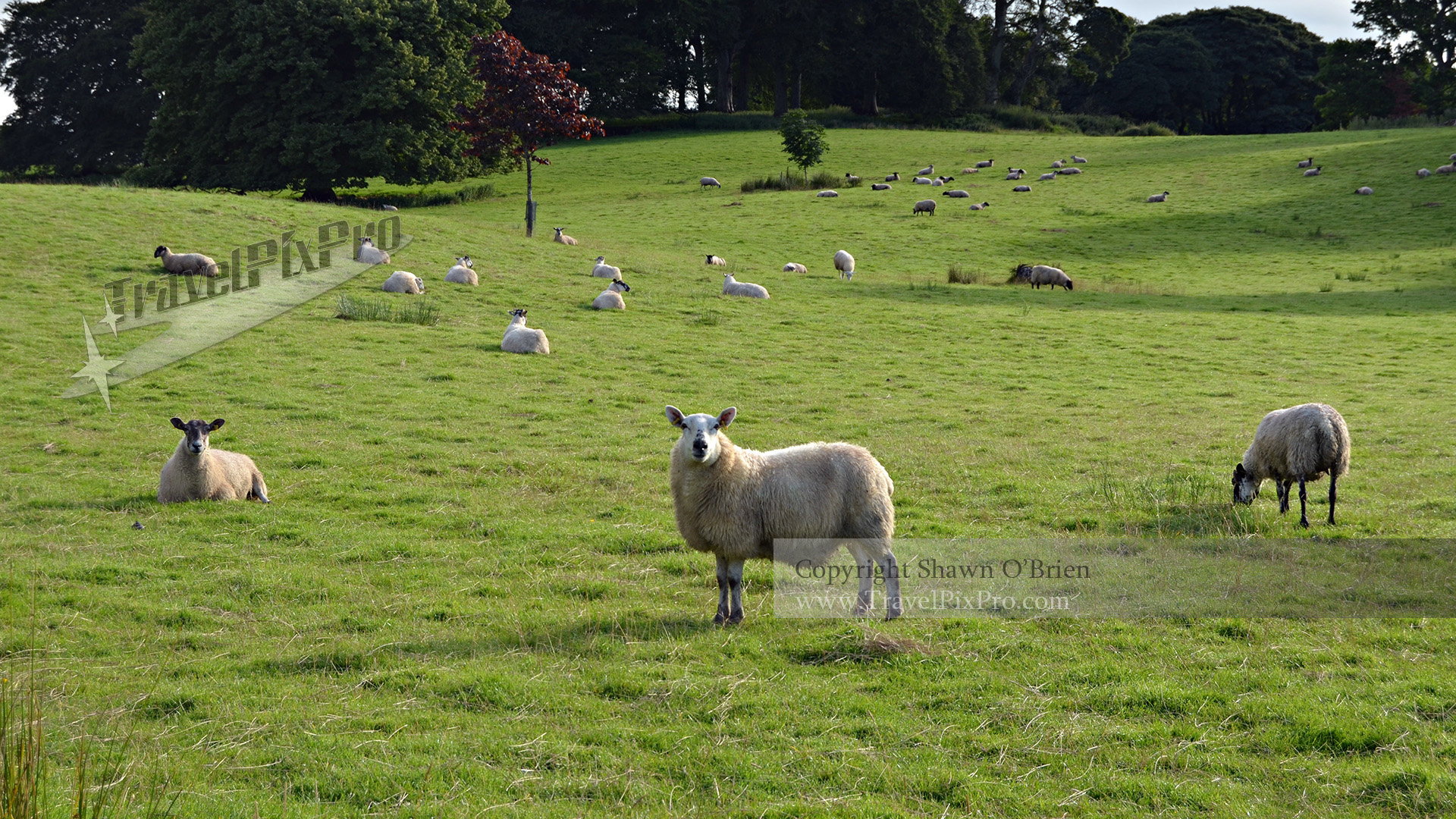 TravelPixPro | Ireland