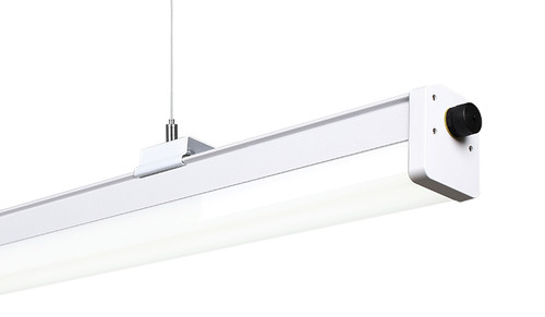 TRUNK TINA | Integrity Lighting