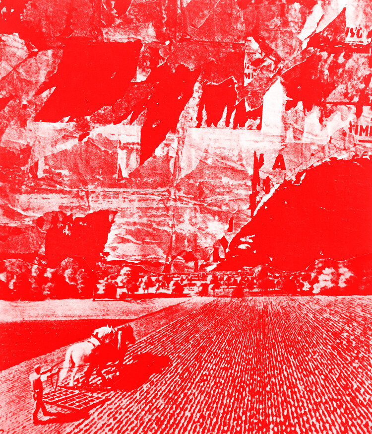 por que ler neel doff