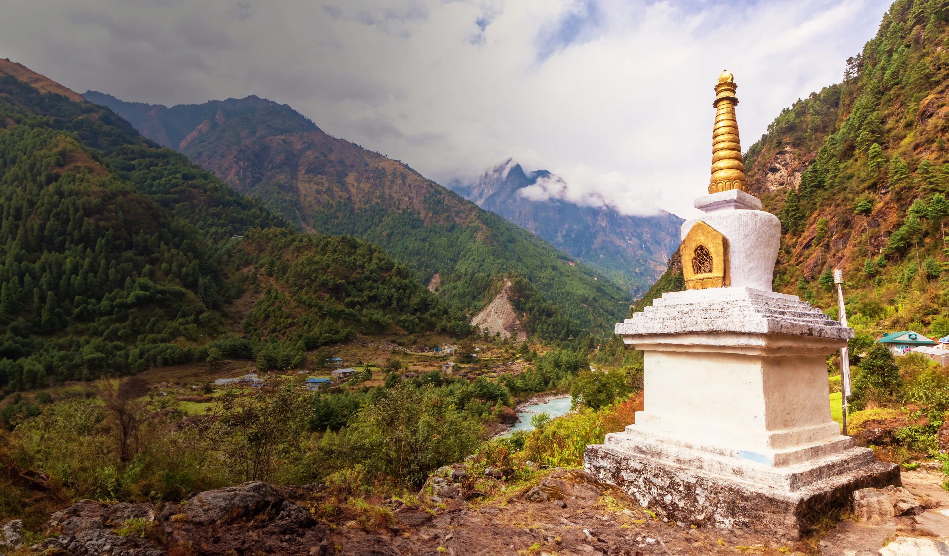 Ted Rose Executive Coaching | Virtual Coaching Sessions | Leadership ...