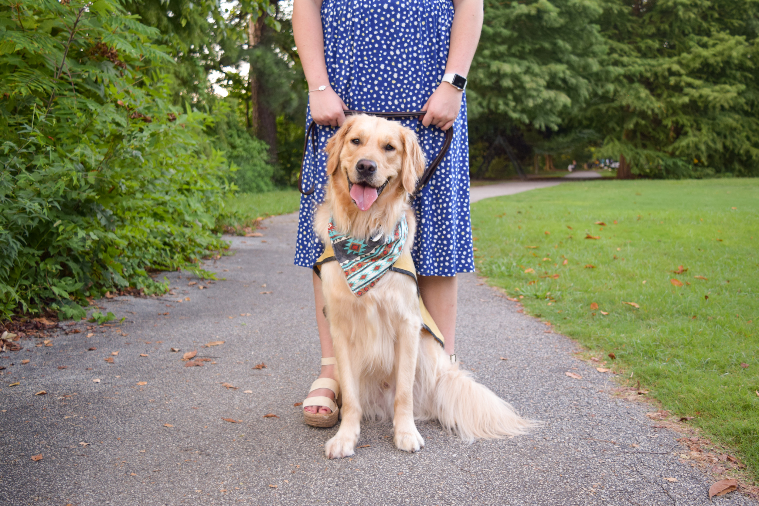 Get Involved | Pawsible Inc.