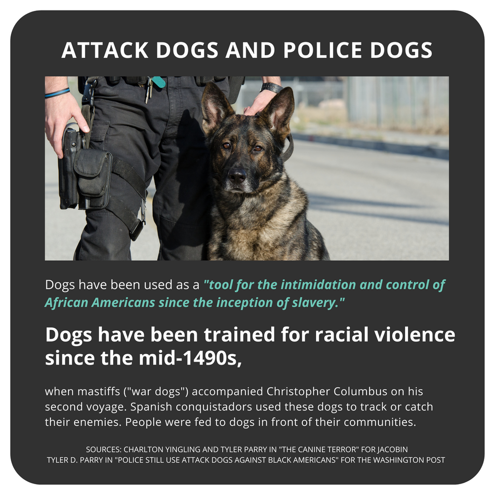 Racism in the Dog Community: Attack Dogs and Police Dogs