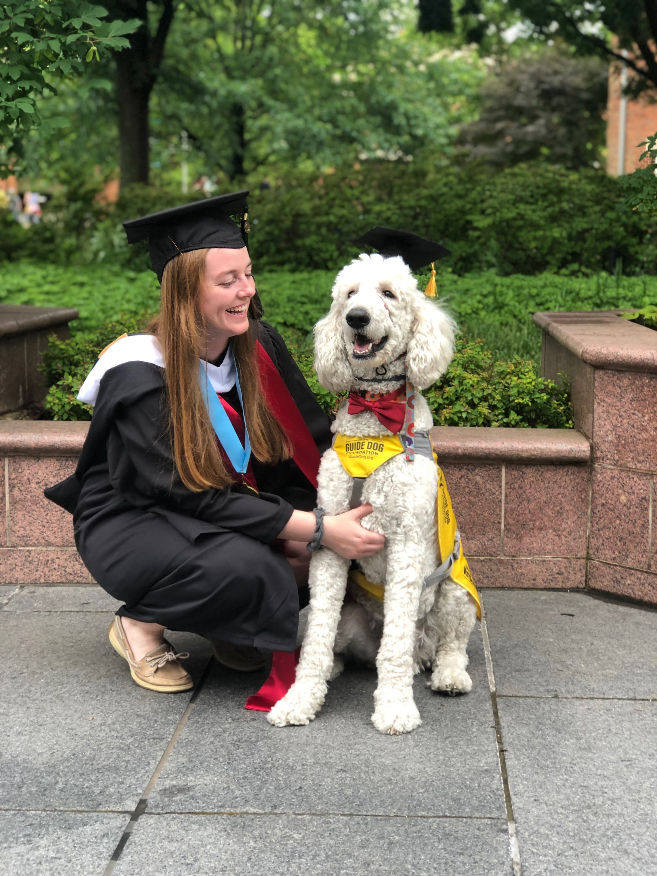 What is Puppy Raising | Pawsible Inc.