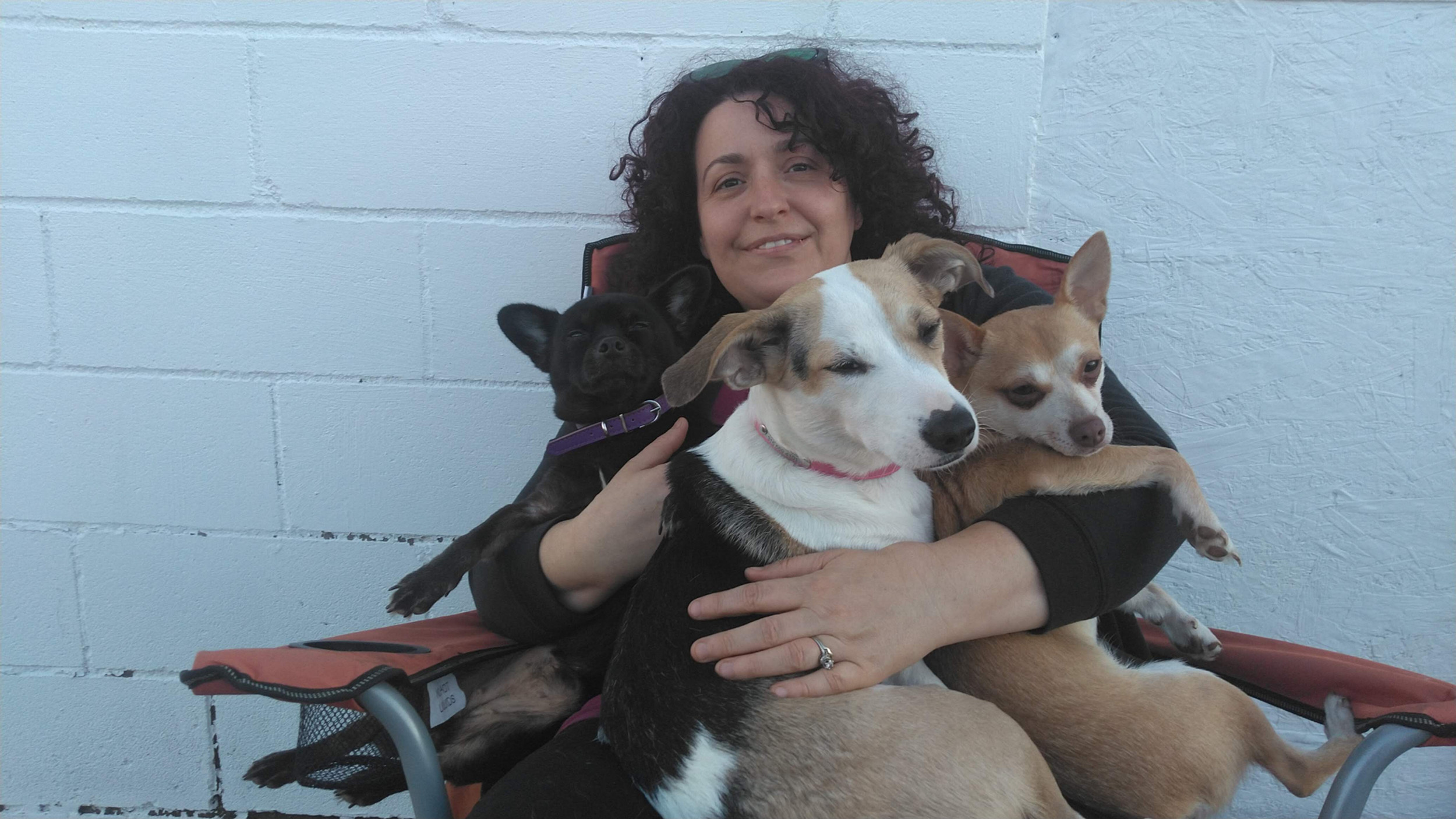 Tiny Tails small dogs, adoption, foster, help