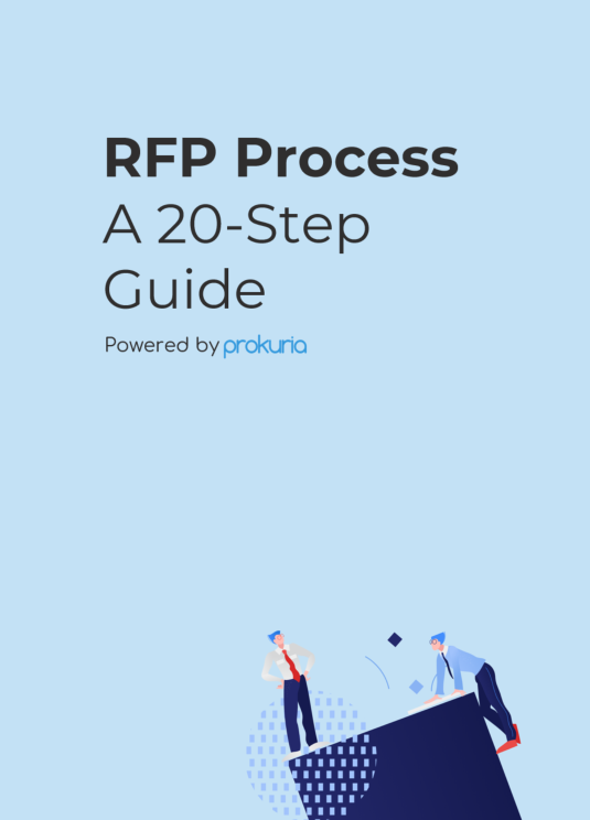 RFP Process: A 20-Step Guide | www.prokuria.com