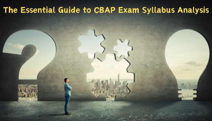 CBAP Syllabus Unveiled: Your Path to Certification Success