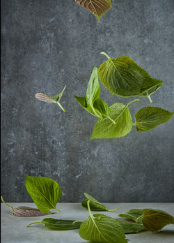 Sizzle & effects | spinach&co