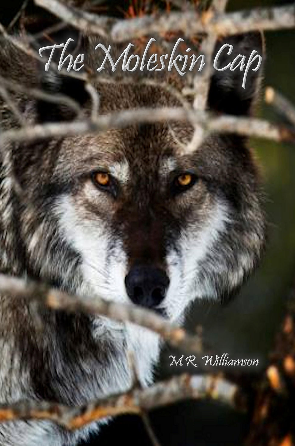 The Moleskin Cap (ePub) | WolfSinger Pubs