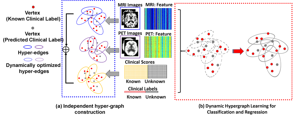 Dynamic Hyper-Graph Inference Framework for Computer Assisted Diagnosis ...