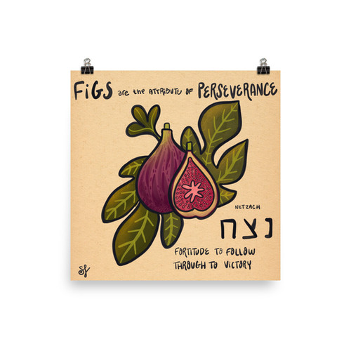 Kabbalah of Figs | Sefira Creative