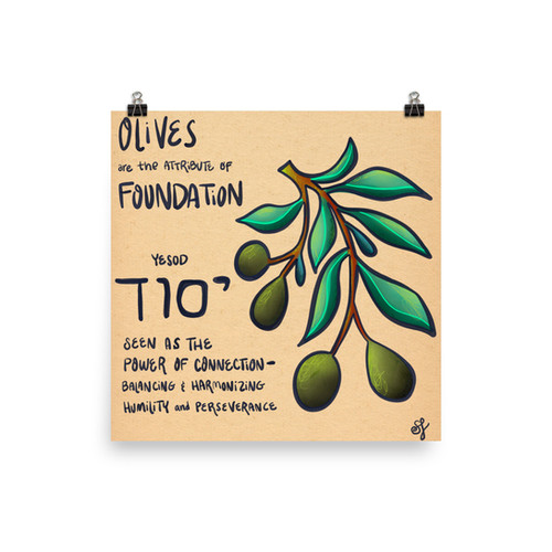 Kabbalah of Olives | Sefira Creative