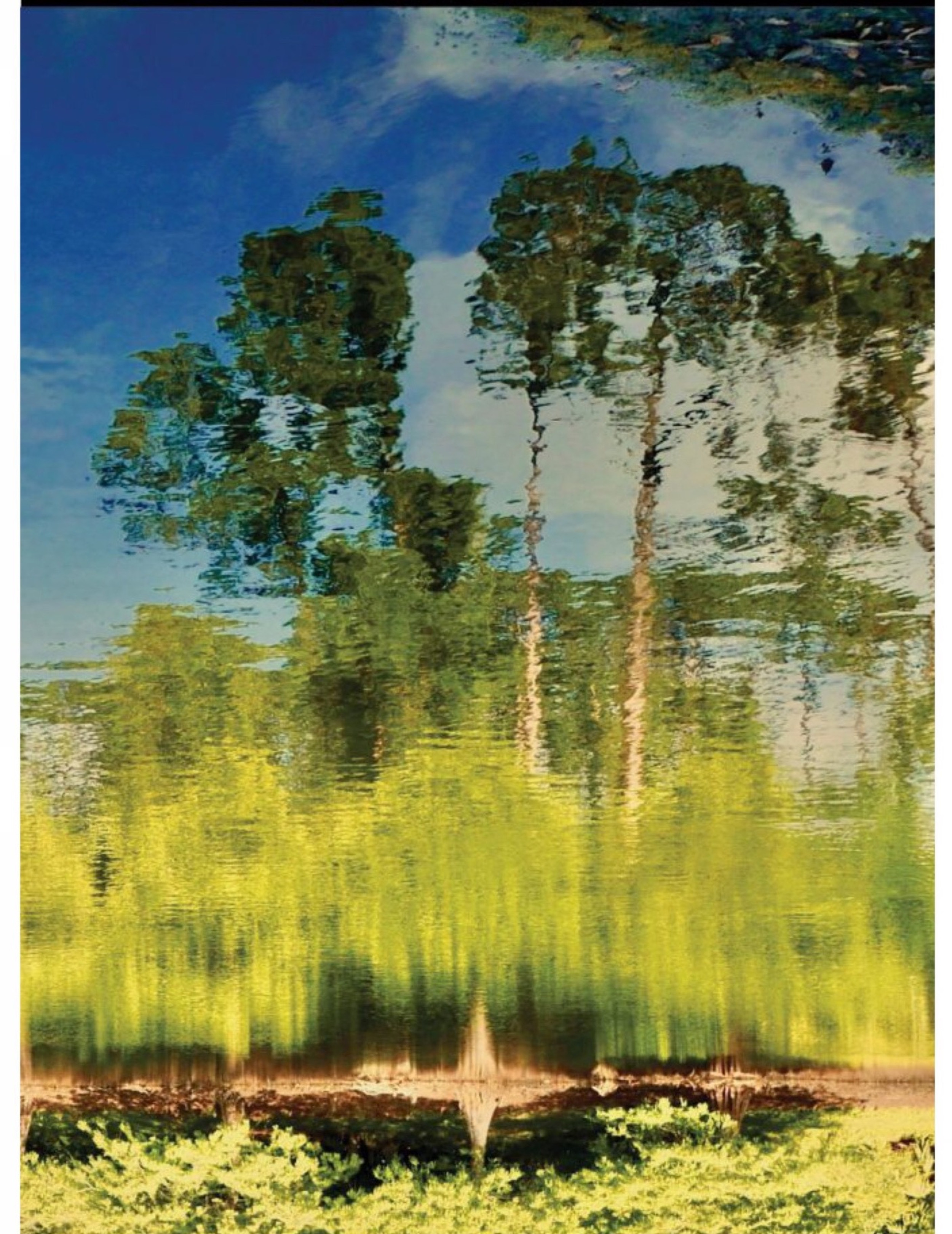 Reflective Perspectives | lindaevediamond