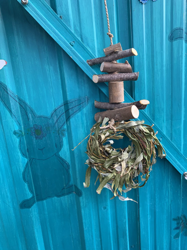 Apple /Willow chew toy | foragenz