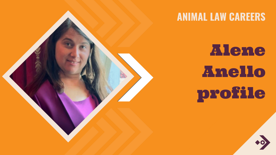 Alene Anello profile | Animal Advocacy Careers