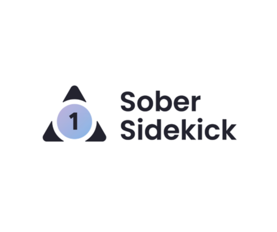 Sober Sidekick | Lisa Skelton Group