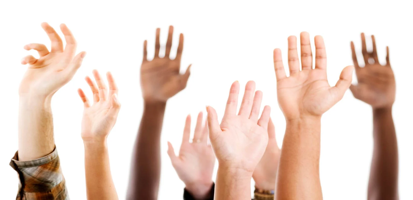 Lacey Pet with Next Level Exotics | Pet Supply | Lacey Township