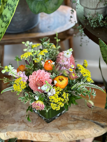 LIMONCELLO | villageflowerbasket