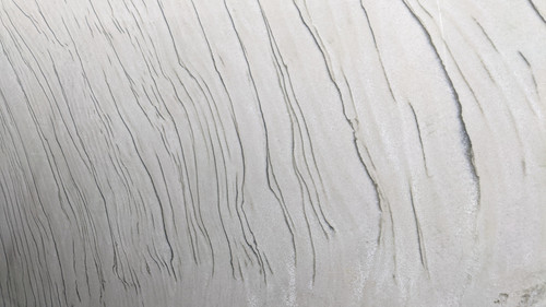 Calacatta Beige Zebra | Florida Custom Surfaces