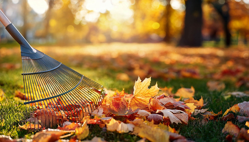 Fall Yardwork Injury Prevention | Keystone Physical Therapy