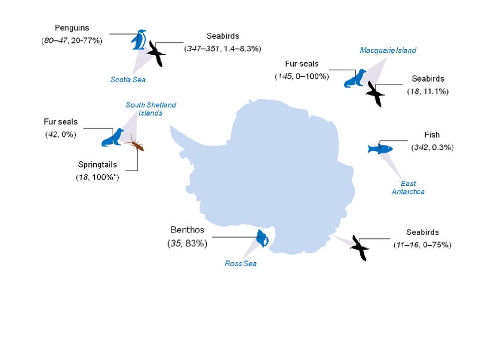 Plastics in Antarctica? What we know